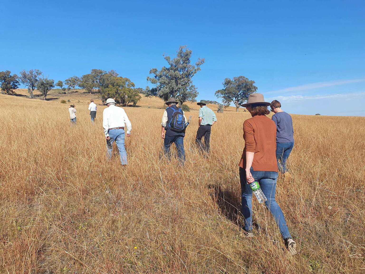 Sustainable Farms Field Day Toolkit – ANU Sustainable Farms