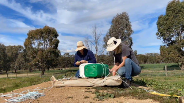 How to build a wildlife island on your farm dam – ANU Sustainable Farms