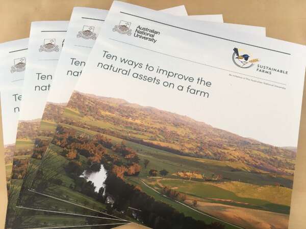 Protecting native grasses – ANU Sustainable Farms