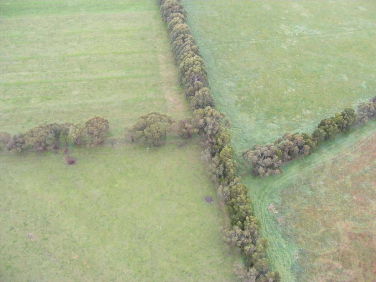 Episode Nine: Farm planning for better biodiversity and reduced fire ...