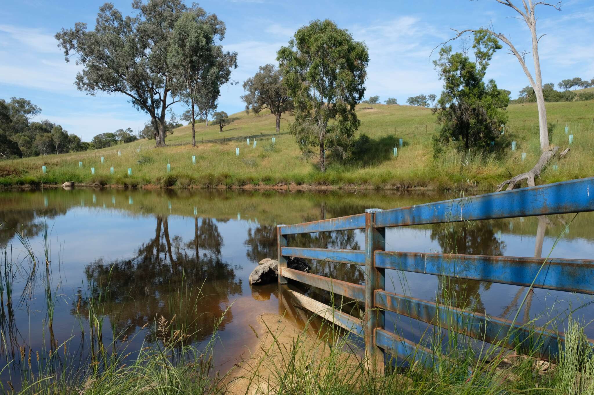 Spring field days 2019: Farm dams, Narrandera – ANU Sustainable Farms