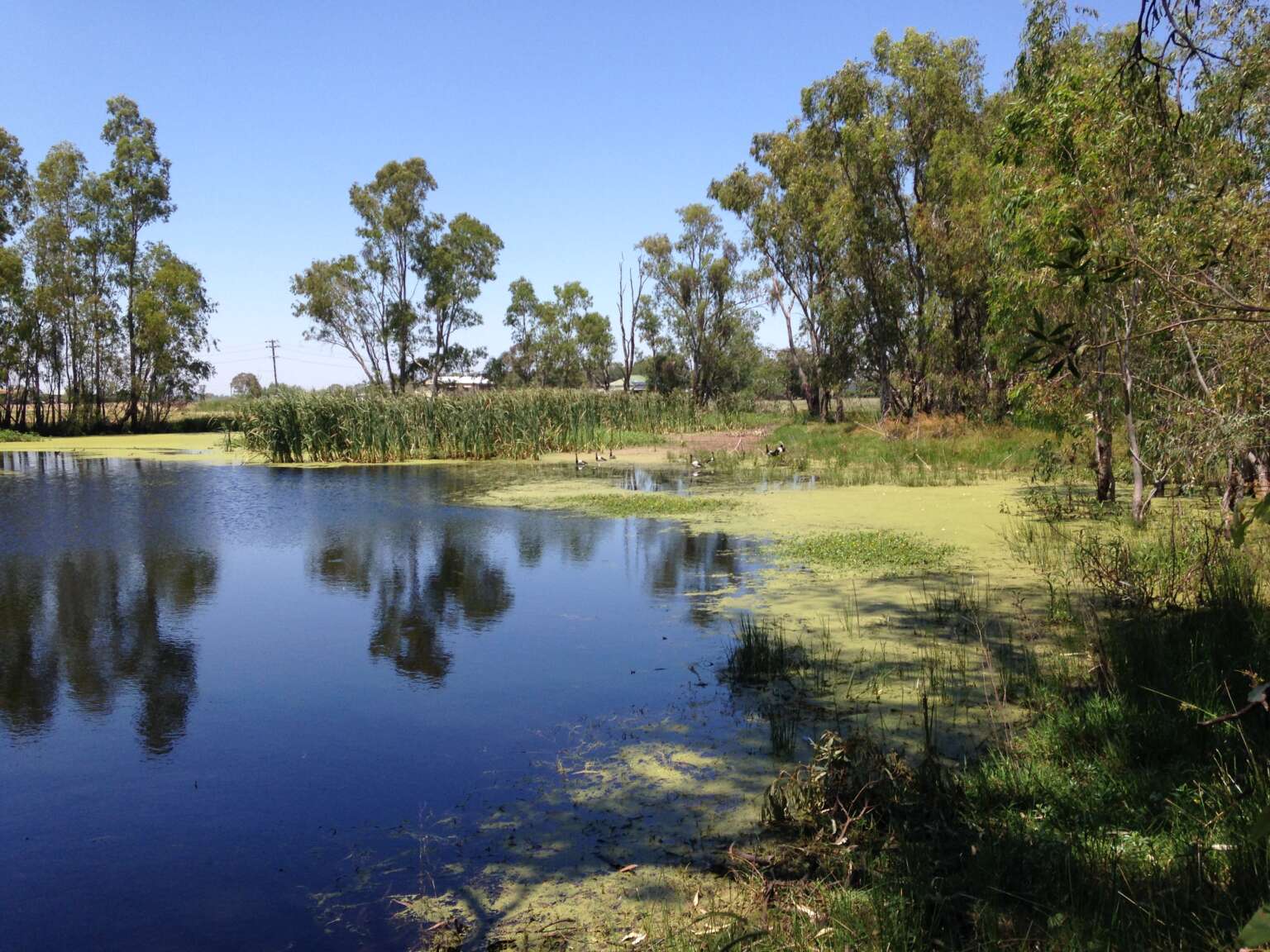 Enhancing farm dams: webinar recording now available – ANU Sustainable ...