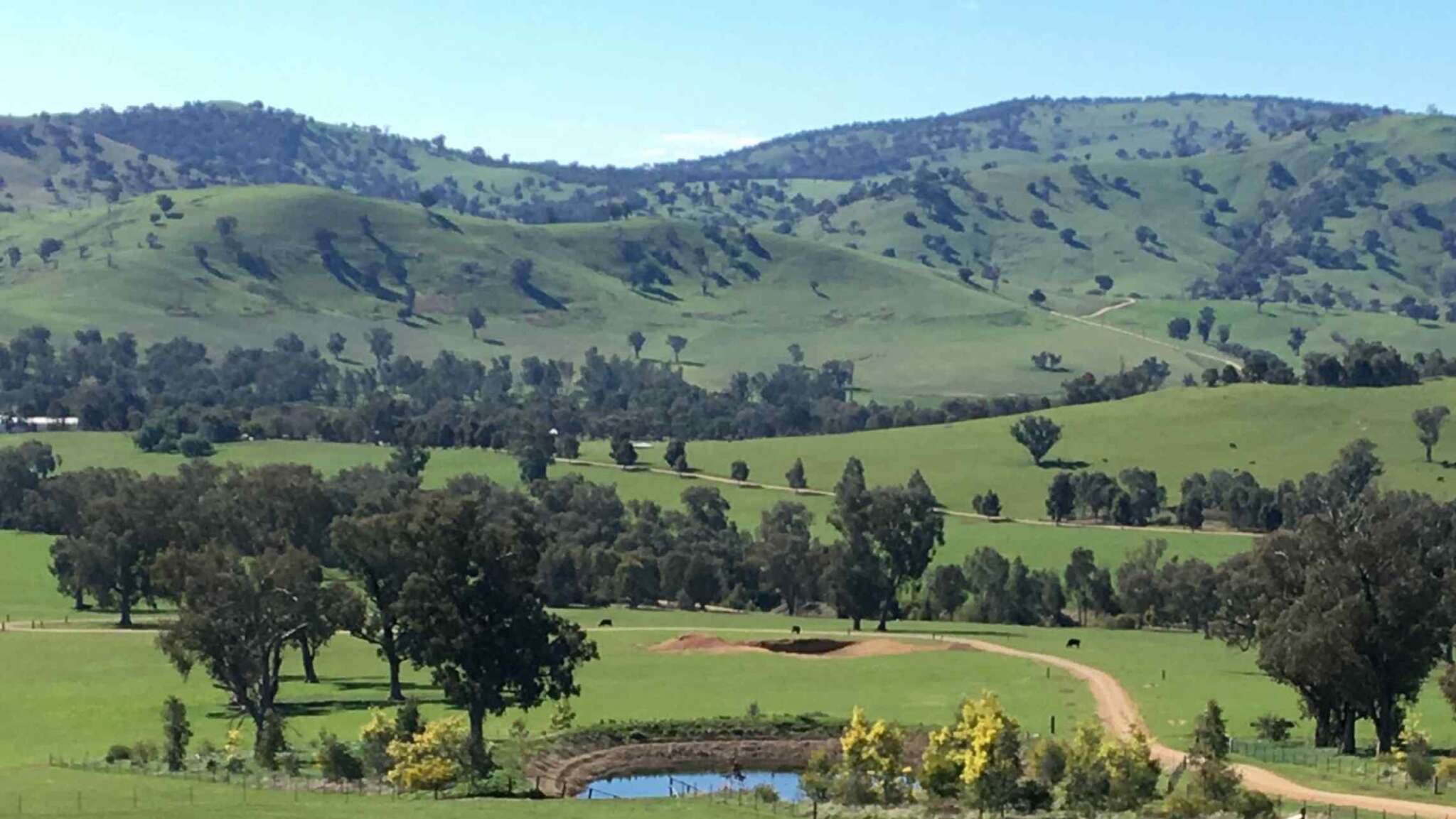 Ten ways to improve the natural assets on a farm – ANU Sustainable Farms