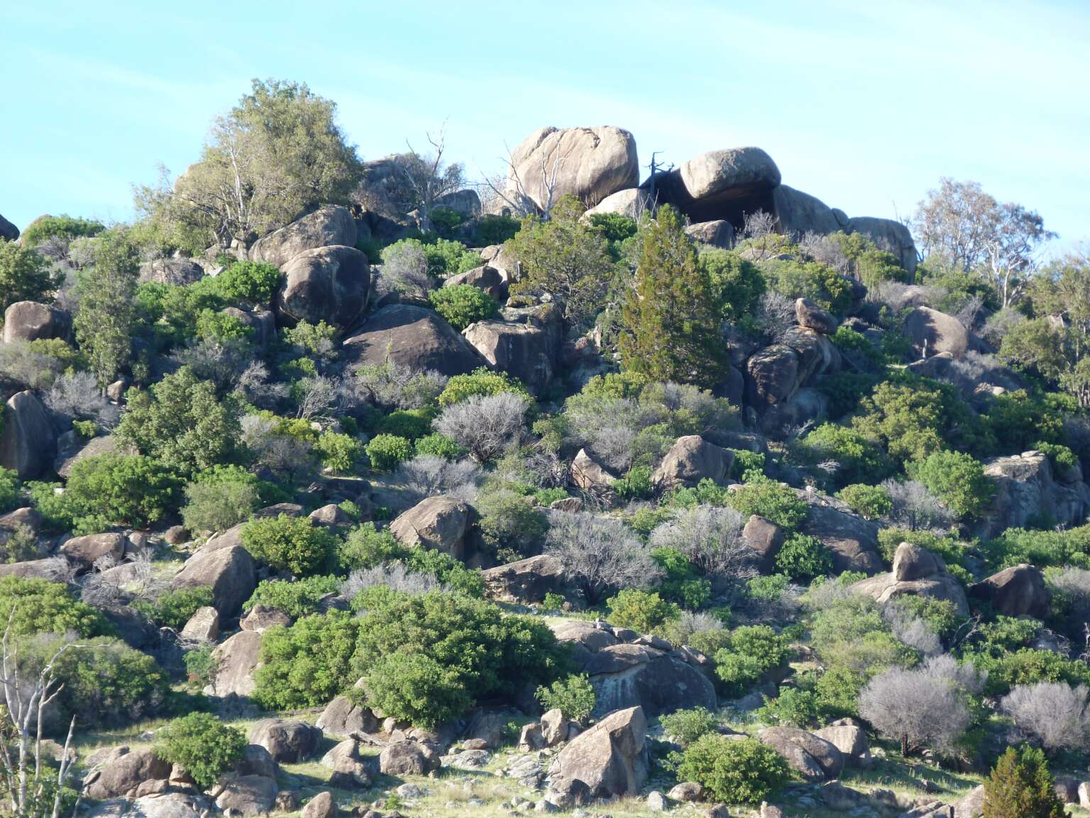 Enhancing rocky outcrops