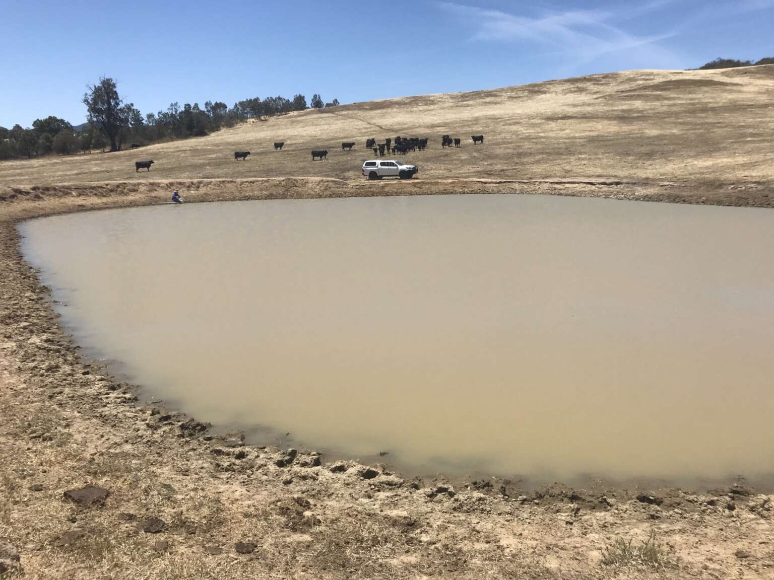 Enhance farm dams – ANU Sustainable Farms
