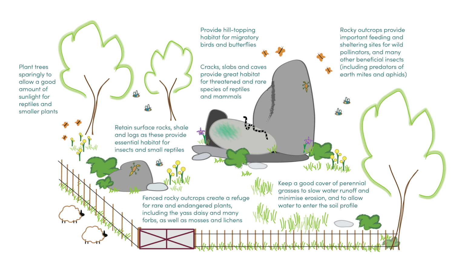 Enhancing rocky outcrops