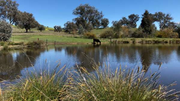 Enhance farm dams – ANU Sustainable Farms