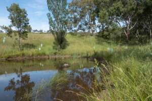Enhance farm dams – ANU Sustainable Farms