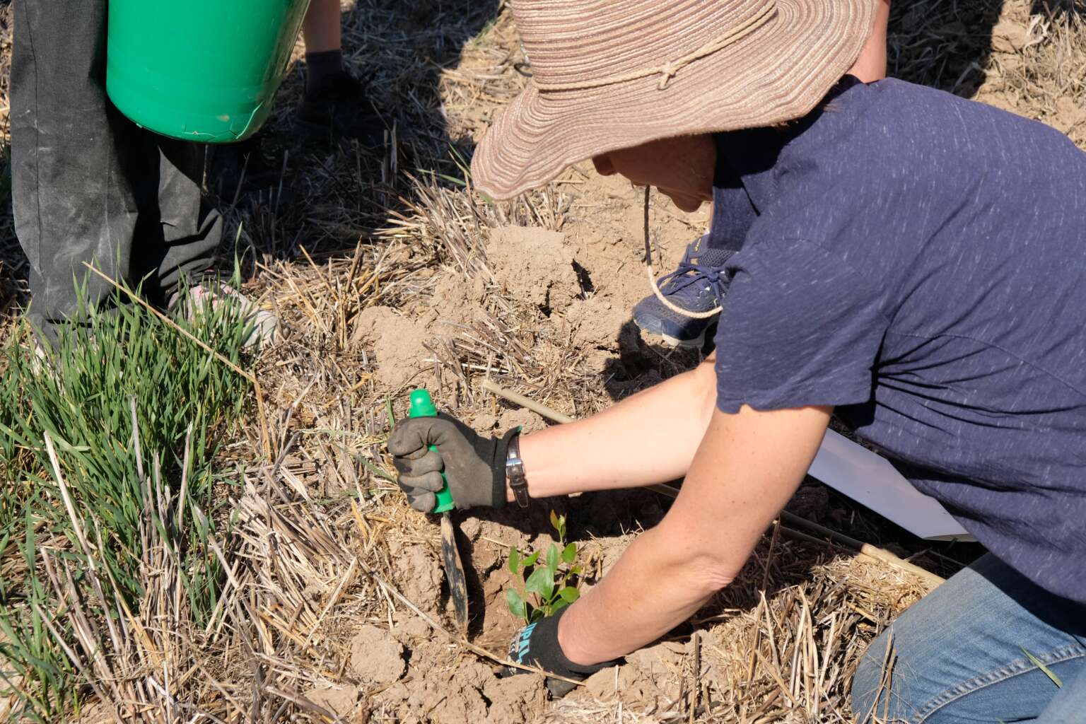 Our Research – ANU Sustainable Farms
