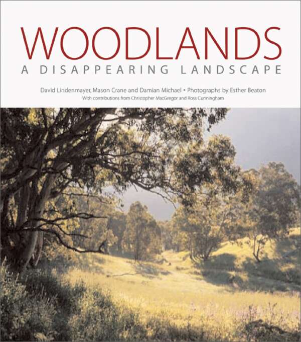 Woodlands: A disappearing landscape – ANU Sustainable Farms