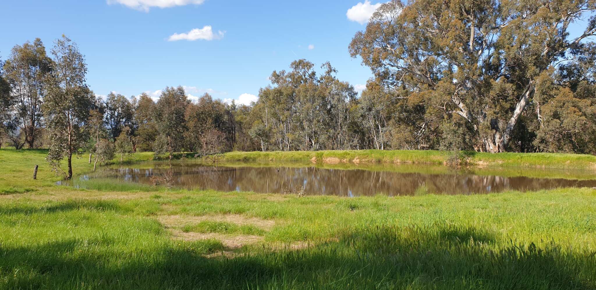 Sustainable Farms: Healthy farmers, Healthy farms, Healthy profits