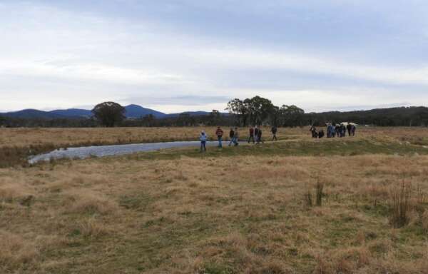 Bombay Field Day on the benefits of biodiversity on farms – ANU ...