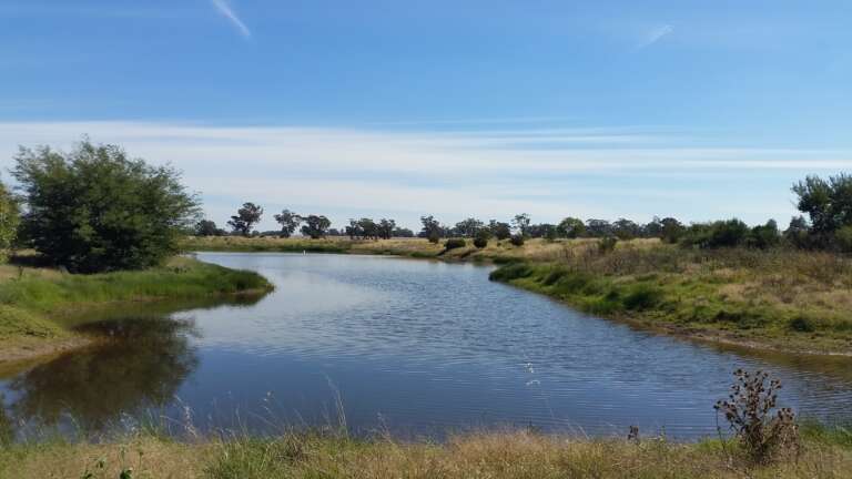 Paddock trees and biodiverse farm dams field day - Bethungra NSW – ANU ...