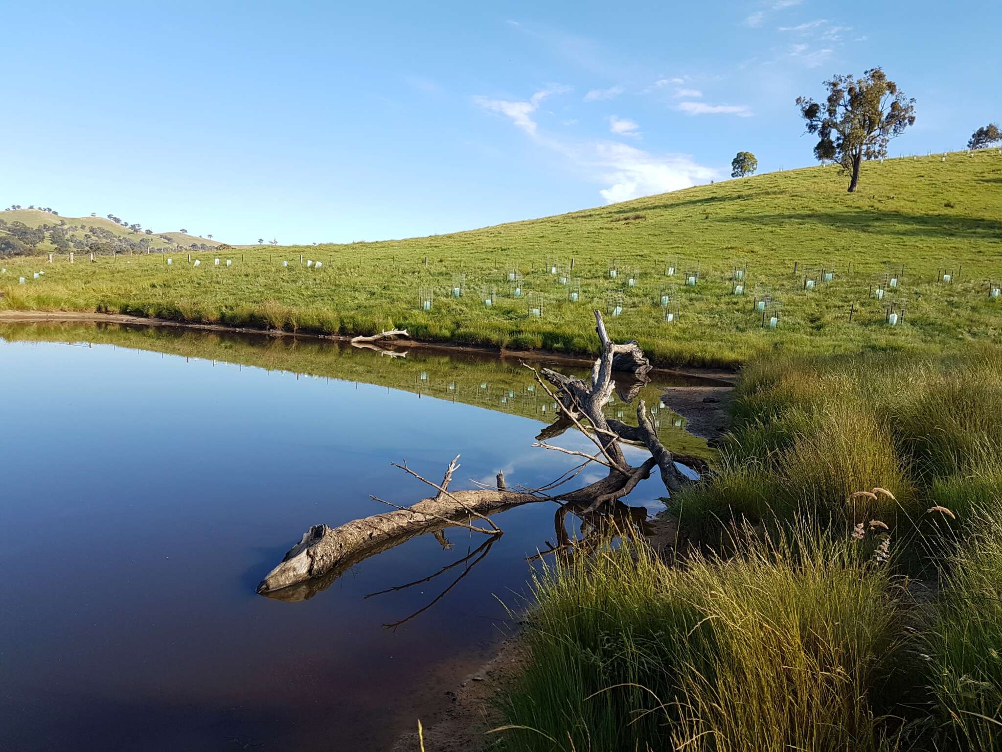 Technical guide | Resources – ANU Sustainable Farms