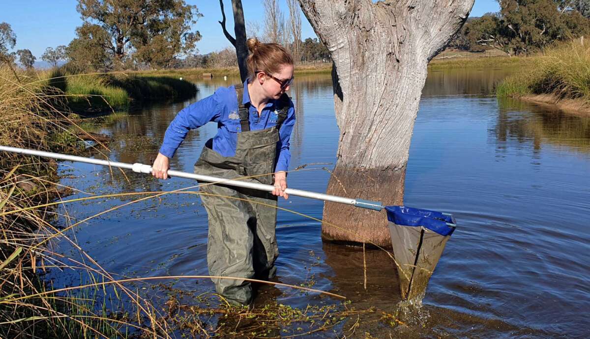 Enhancing farm dams field day - Ruffy VIC – ANU Sustainable Farms
