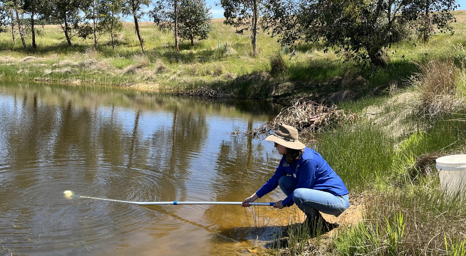 New research publication on the benefits of enhancing farm dams – ANU ...